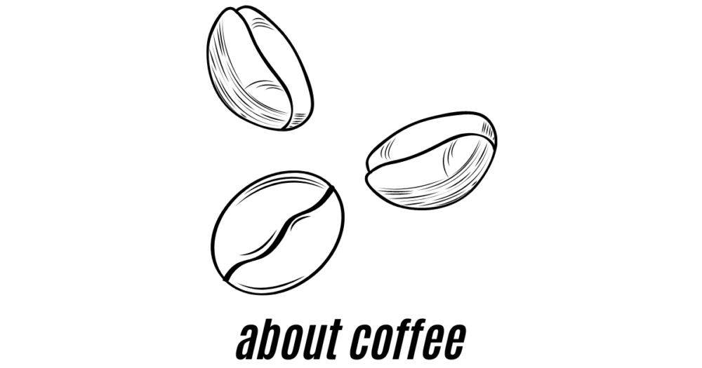 about-coffee | connex magazine